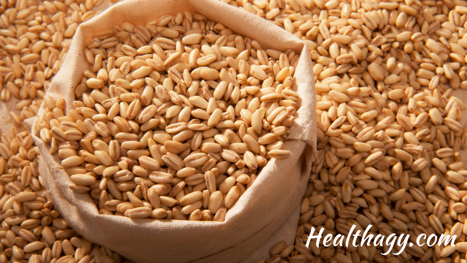 Buckwheat vs Barley: Which is Healthier? A Comparison - Healthagy