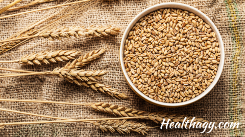 Barley vs Wheat: What is the Difference? Which is Healthier? - Healthagy